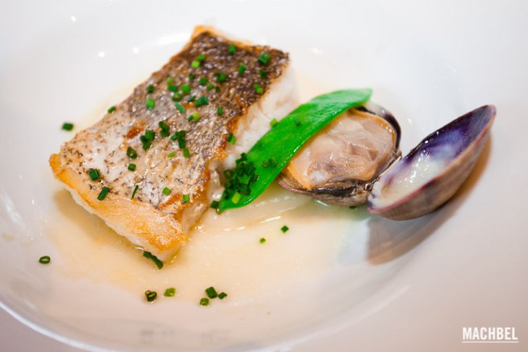 Gastronomía en Gijón, Asturias - machbel