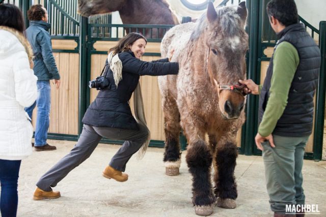 Reservatauro, el parque del toro bravo, el caballo español y el toreo ...