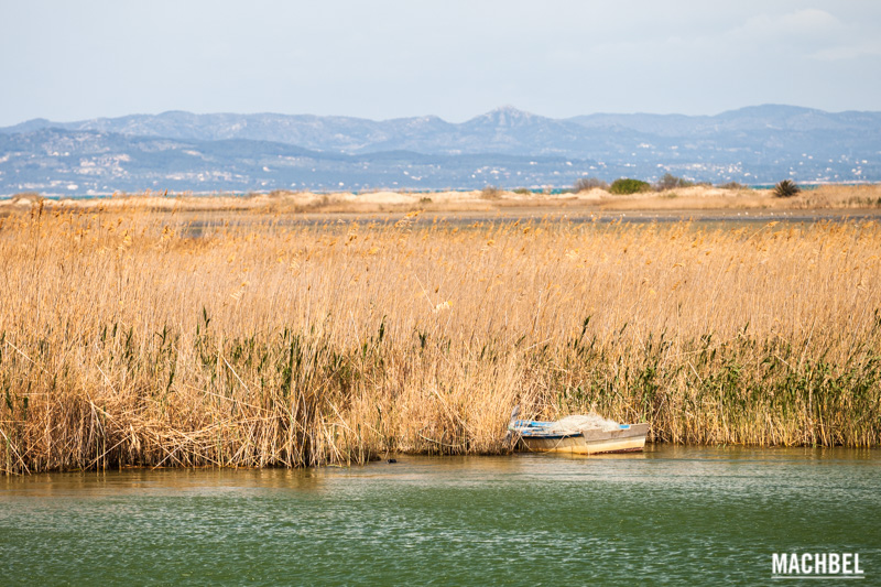 Delta del Ebro, el parque natural en contra de la especulación ...